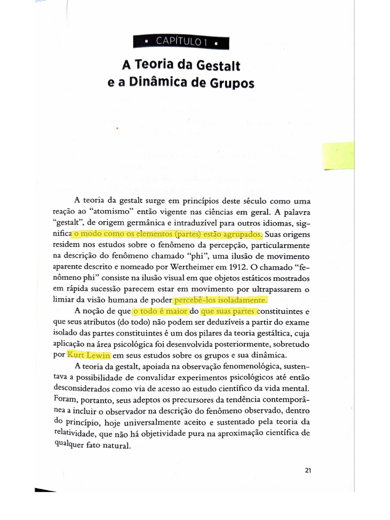 Grupos Teorias e Pr-Ticas-Osorio | PDF