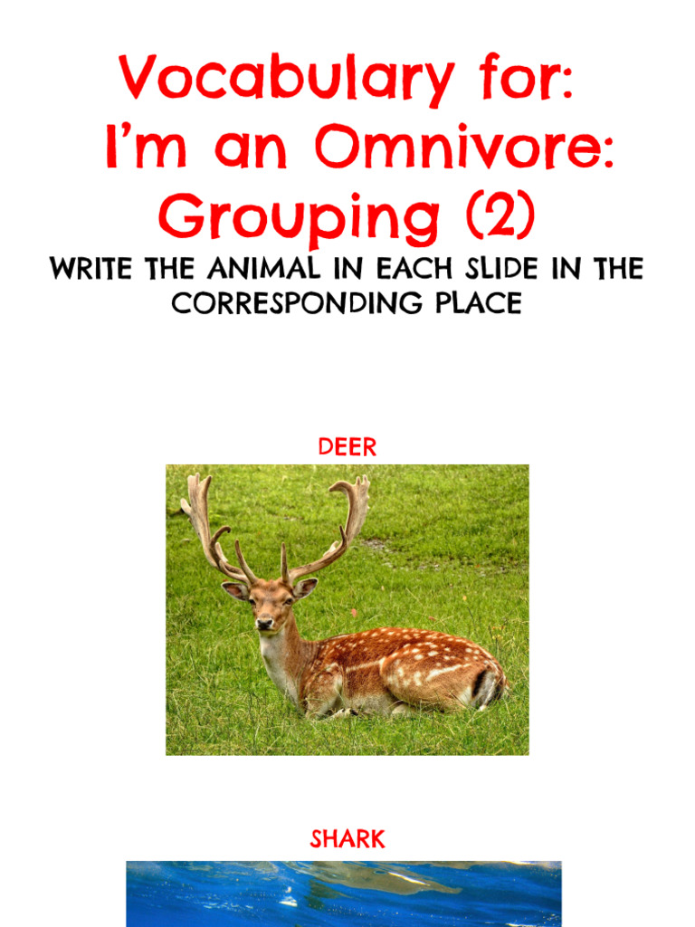 Vocabulary Science I'm Omnivore | PDF