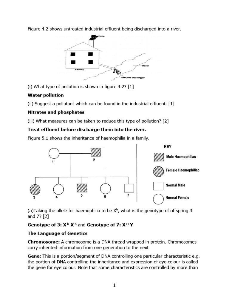 2010 - 2016 Bio P2-1 - 041957 | PDF | Dominance (Genetics) | Genotype