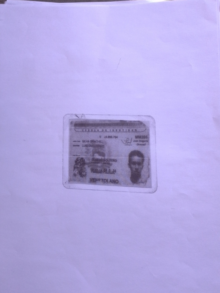 Documento 13, Cedula Venezolana Luis Padre | PDF