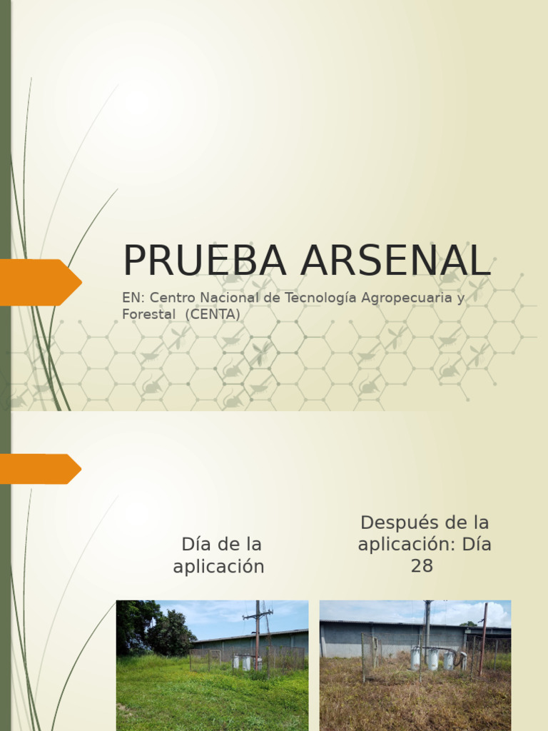 Resultados PRUEBA ARSENAL | PDF