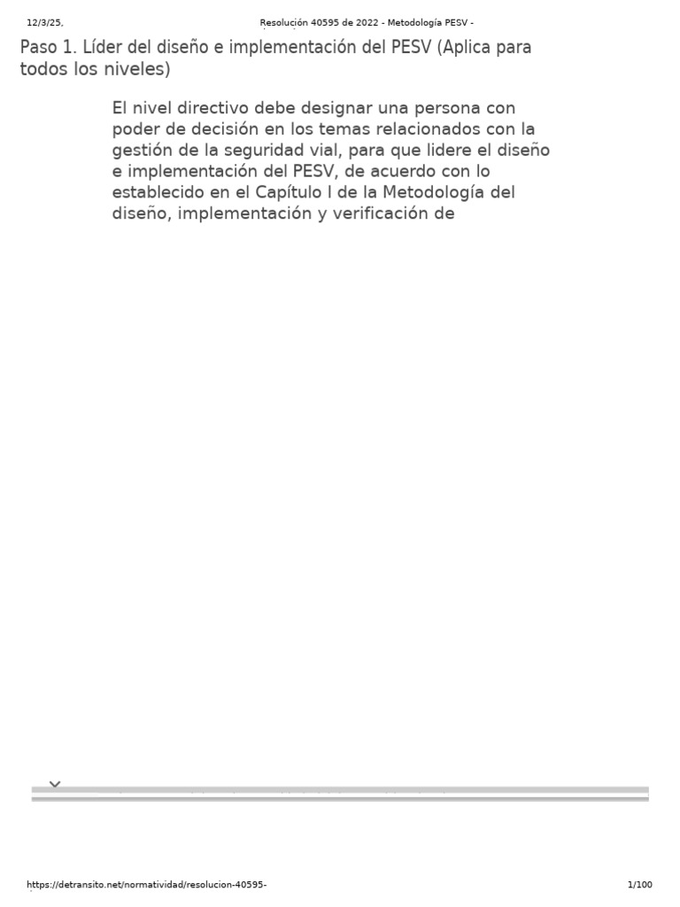 Pasos PESV | PDF | Outsourcing | Seguridad vial