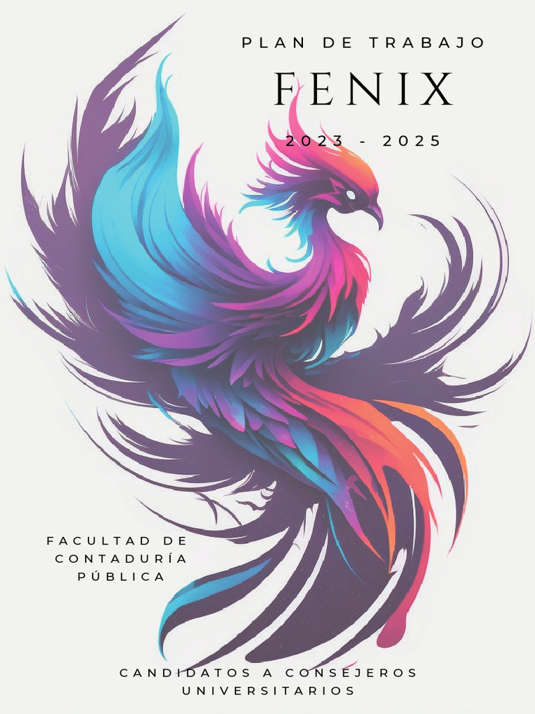 Fenix Plan de Trabajo Unido | PDF | Contador | Universidad