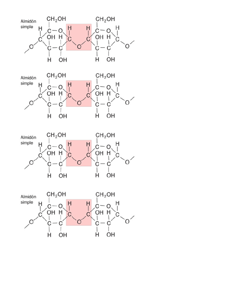 Moleculas Almidon | PDF