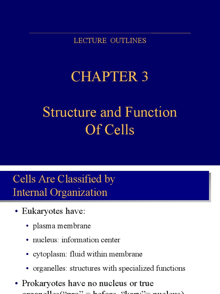 Structure of A Cell | PDF | Cell Membrane | Cell (Biology)