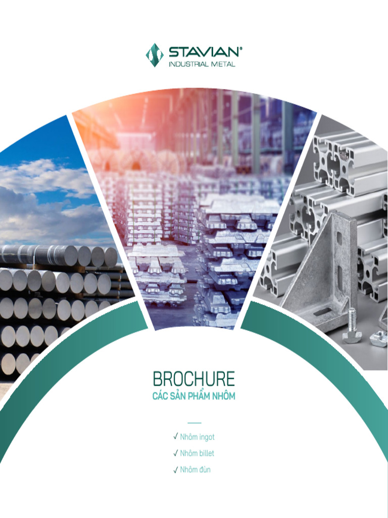 Vie Sim Brochure Nhom 20240528 | PDF