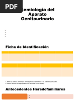 Anatomía del Cuerpo de Highmore | PDF | Testículo | Próstata