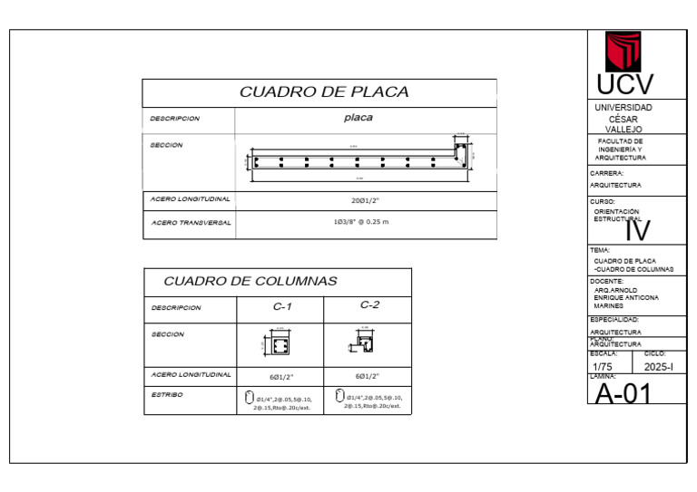 Modulo Techo Propio - ORIENTACIÓN ACTUAL CUADROS | PDF