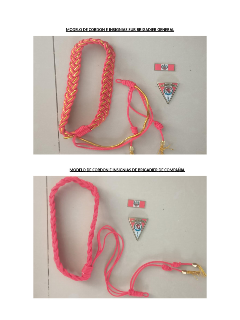 Modelo Cordones e Insignias | PDF
