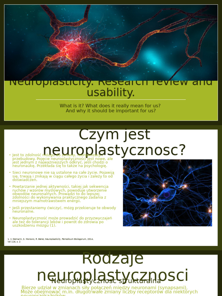 Neuroplasticity | PDF
