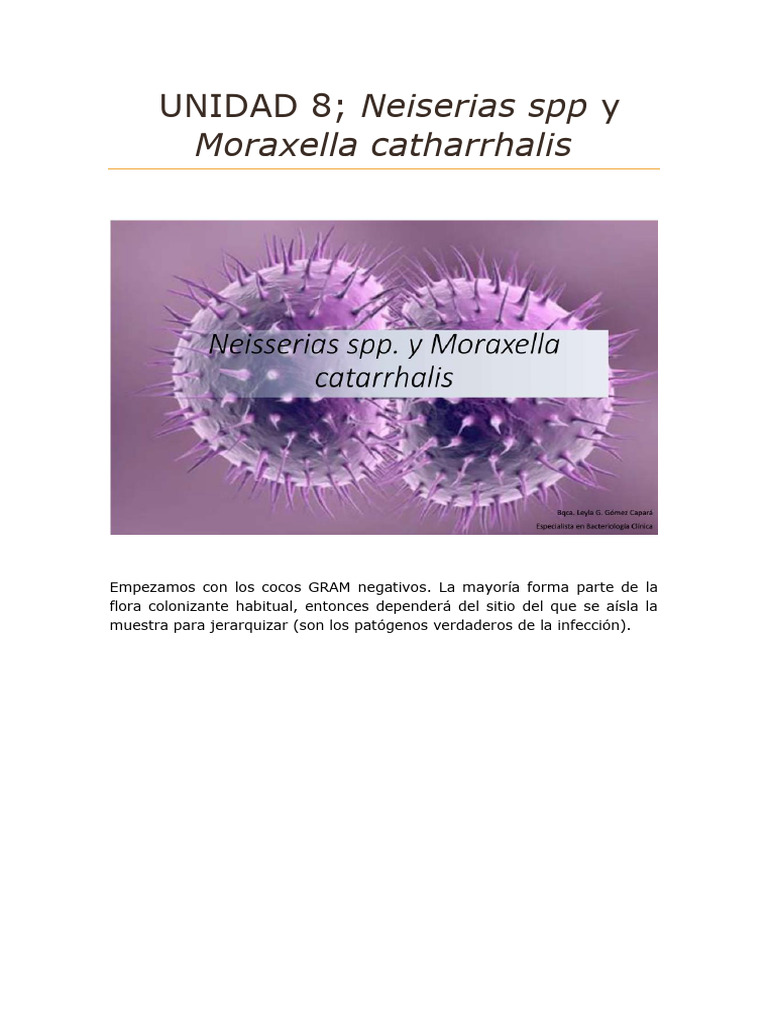 Neisserias spp y Moraxella: Patología y Diagnóstico | PDF ...