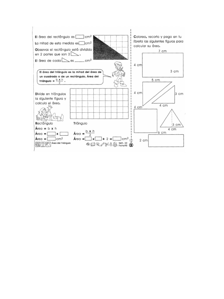 Area de Triangulos y Rectangulos | PDF