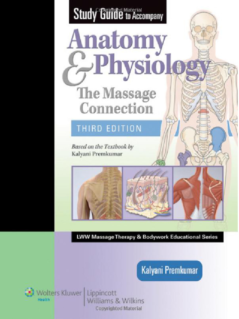 Anatomy and Physiology - The Massage Connection - 2012 - 3rd | PDF | Human Body | Anatomical ...