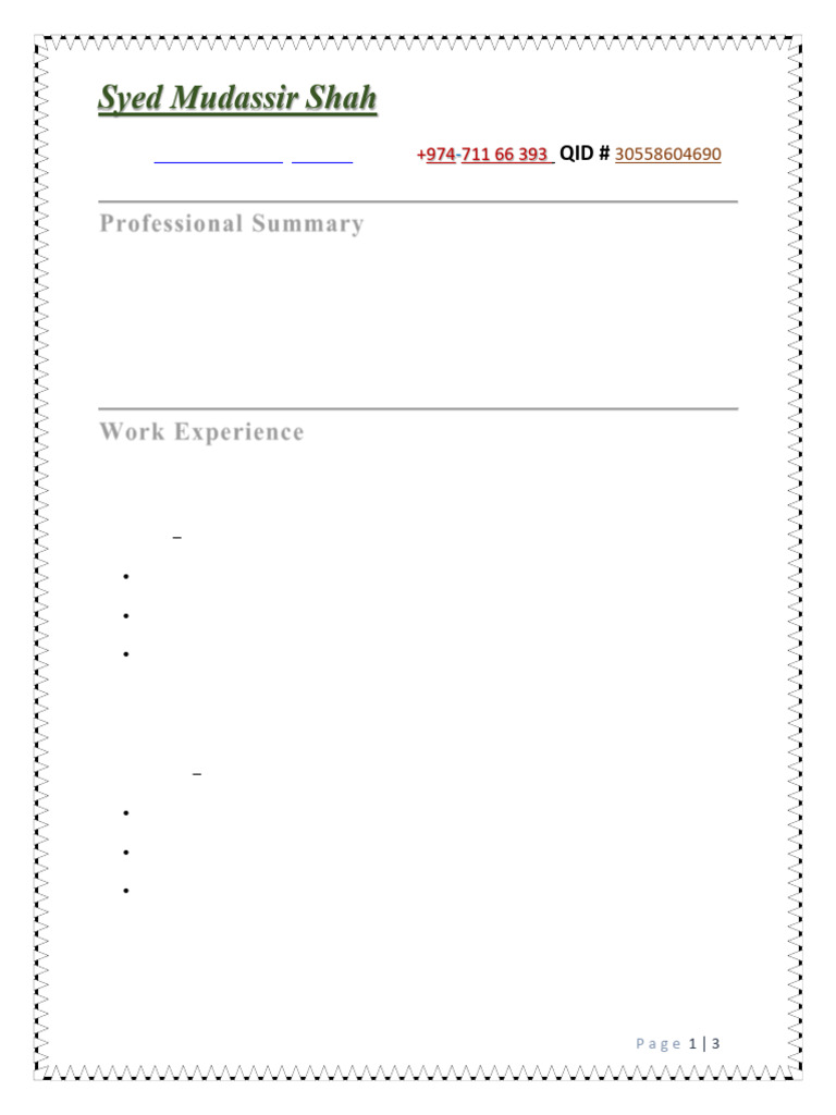 Syed Mudassir Shah - CV 2025 | PDF | Web Design | Web Development
