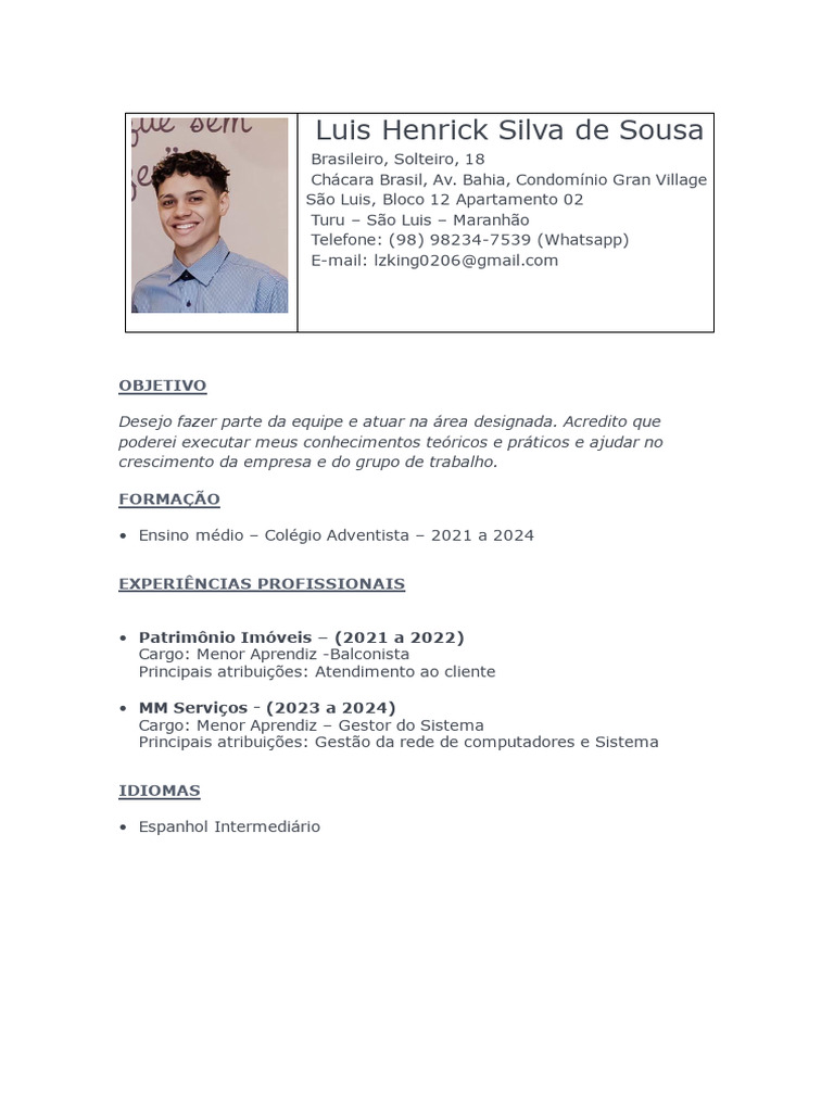 Curriculo Luis | PDF