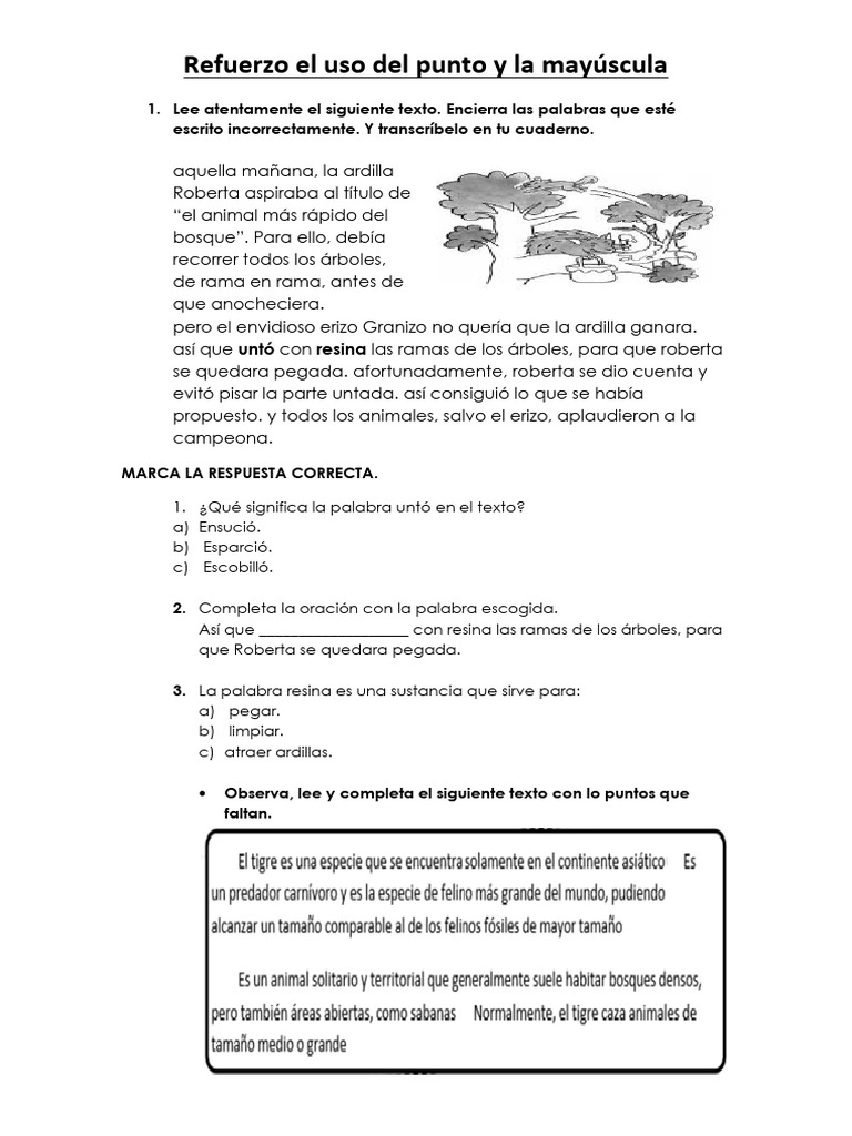 FT El Uso Del Punto y La Mayuscula | PDF