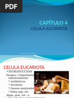 Guía de Tipos de Vendaje en Enfermería | PDF