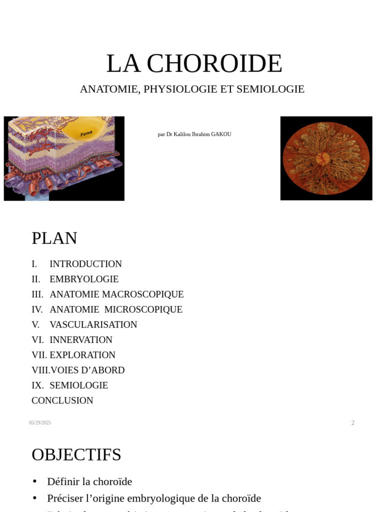 Anatomie et Physiologie de la Choroïde | PDF | Vaisseau sanguin | Artère
