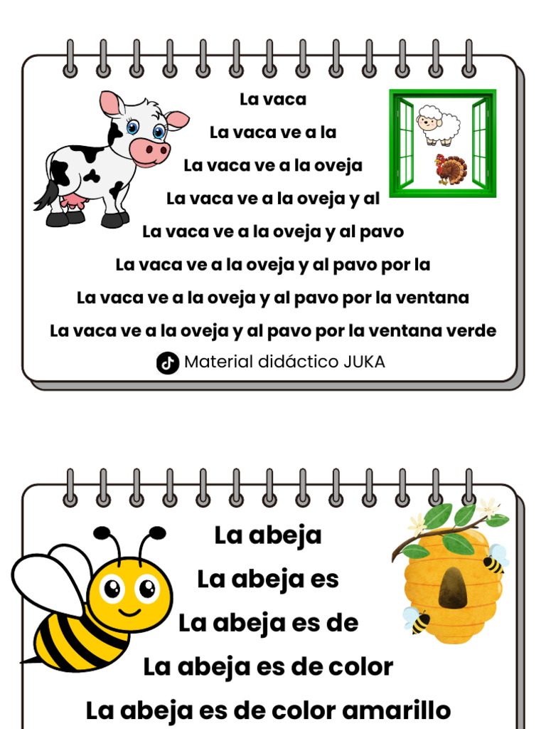 Lectura en Pirámide - Material Juka | PDF | Araña