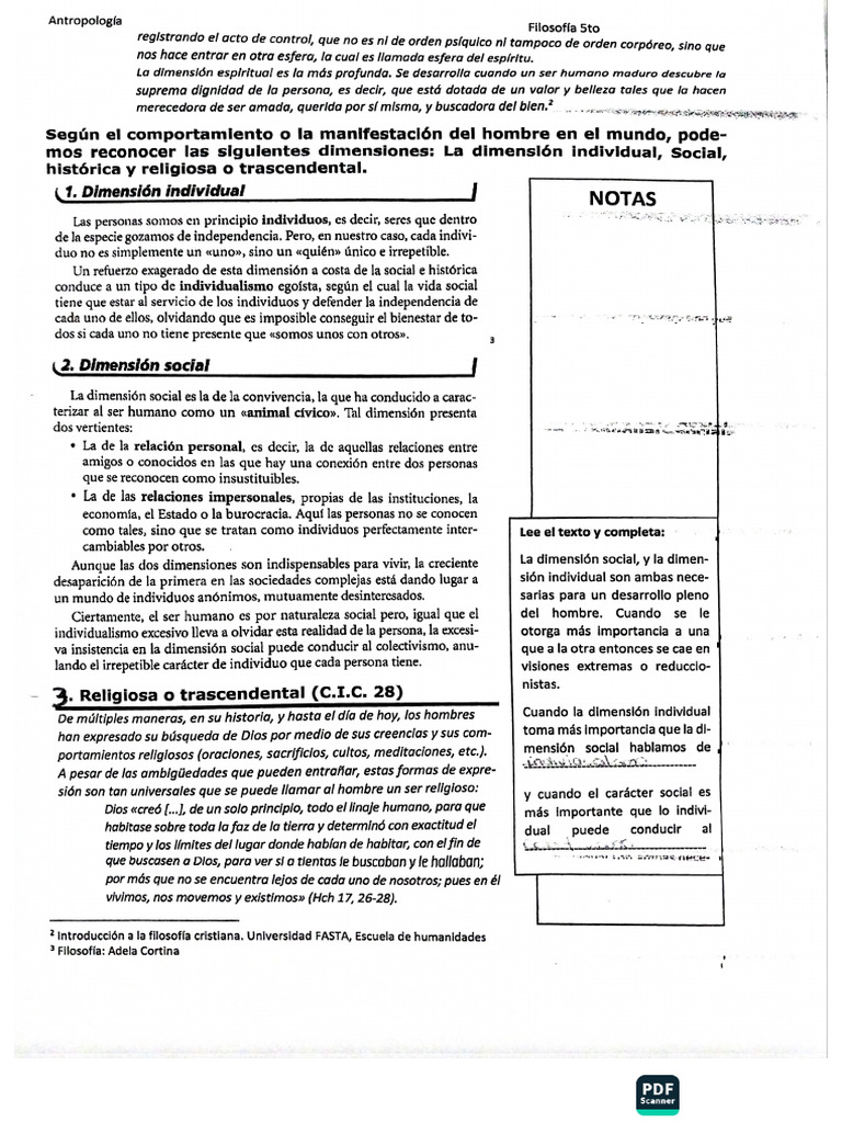 ACE Scanner_2025_05_29 | PDF