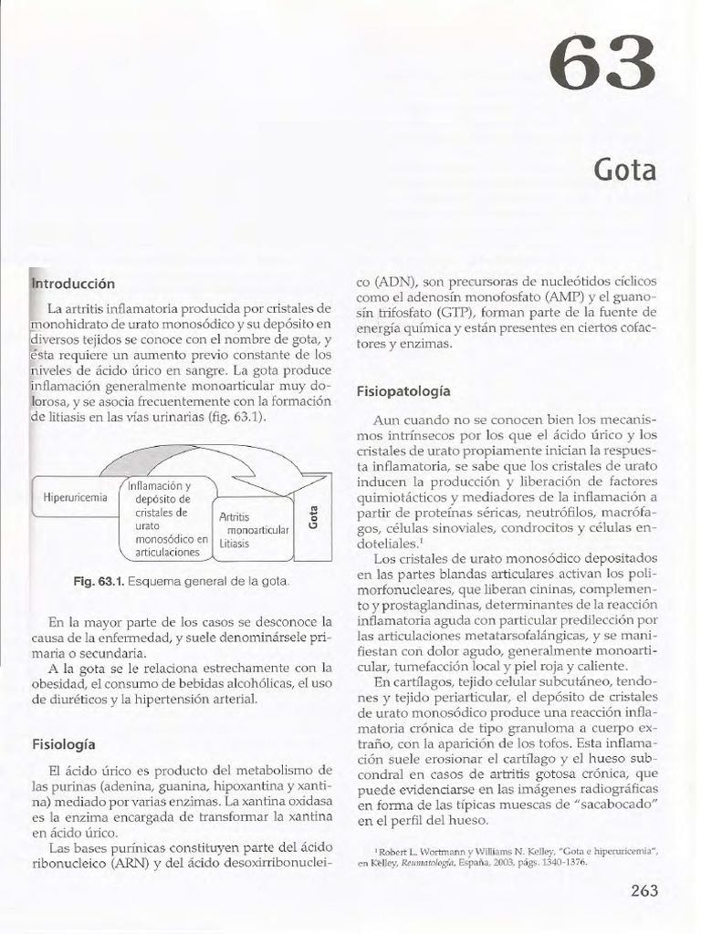 Fisiopatologia Medica en Esquemas Xavier Lopez 2a Ed 2016 | PDF