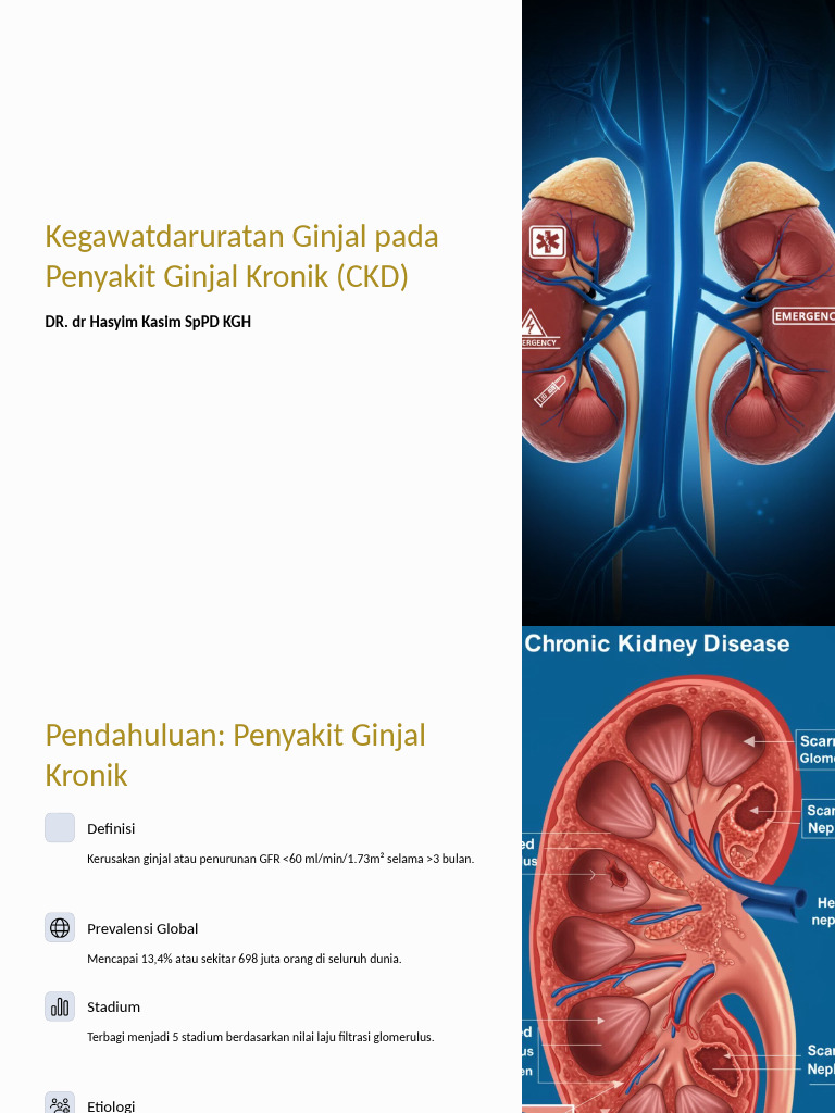 Kegawatdaruratan Ginjal pada CKD | PDF