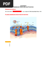 Plasma Membrane Presentation | PDF | Cell Membrane | Cell (Biology)