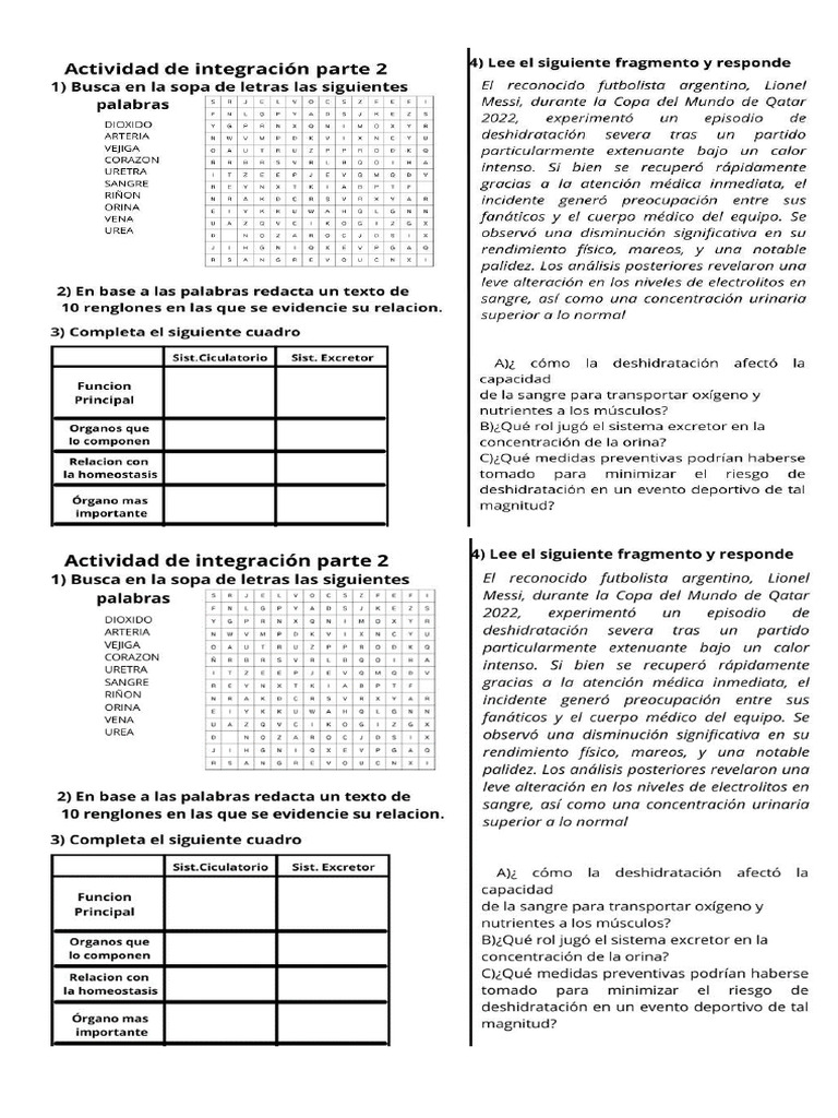 Actividad de Refuerzo 2 | PDF