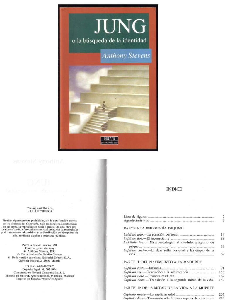 Anthony Stevens - Jung o La Busqueda de La Identidad Completo | PDF