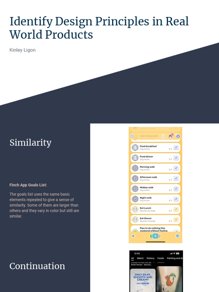 Design Principles Real World | PDF