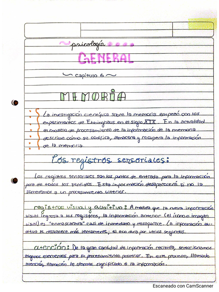 Memoria Morris Cap 6 | PDF