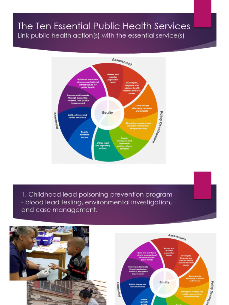 Ten Essential Services Activity and Key NURS 4210-1 | PDF | Public ...