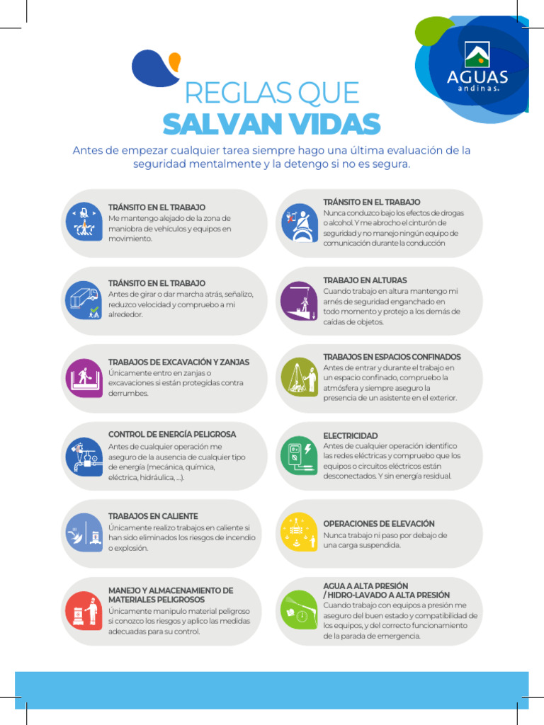 Reglas Que Salvan Vidas | PDF