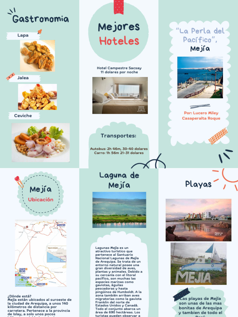 Mejía | PDF | Aves | Zoología