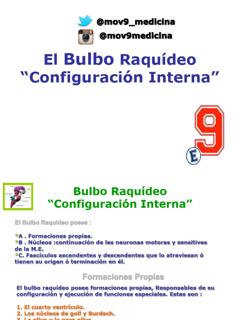 Bulbo Raquideo Conf. Interna | PDF | Nervio vago | Neuroanatomía