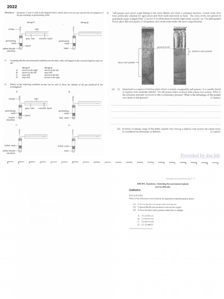 dse.life Document Overview | PDF