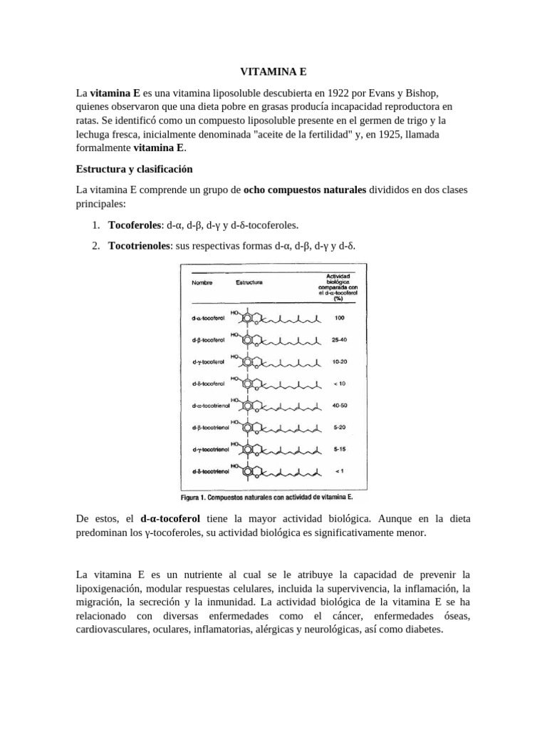 VITAMINA E Keicy | PDF | Antioxidante | Vitamina e
