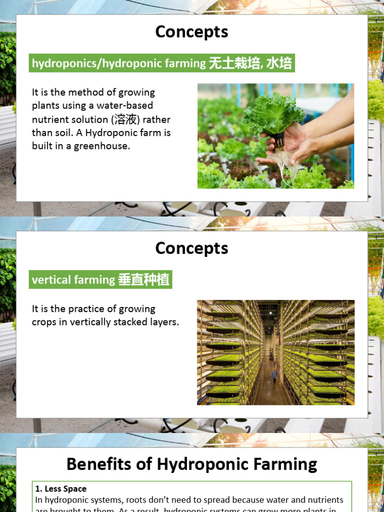 Hydroponic Farming | PDF