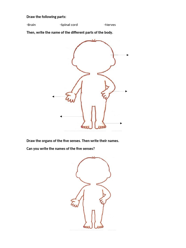 Draw The Following Parts | PDF