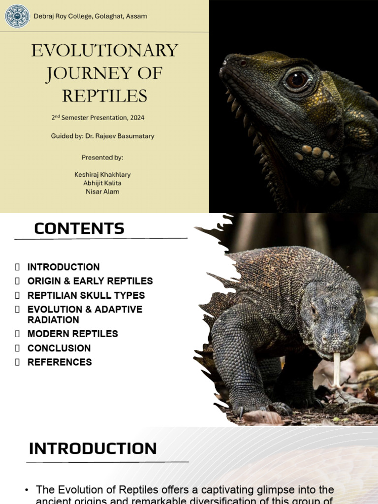 Evolutionary Journey of Reptiles | PDF | Reptile | Dinosaurs
