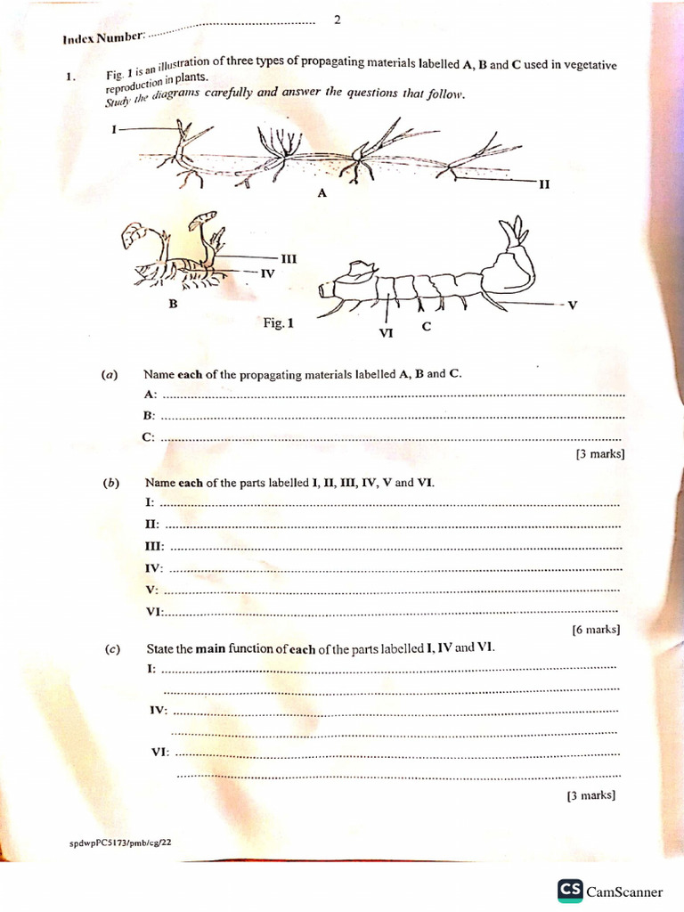 Integrated Science Practical Questions Join Here For More @waec | PDF