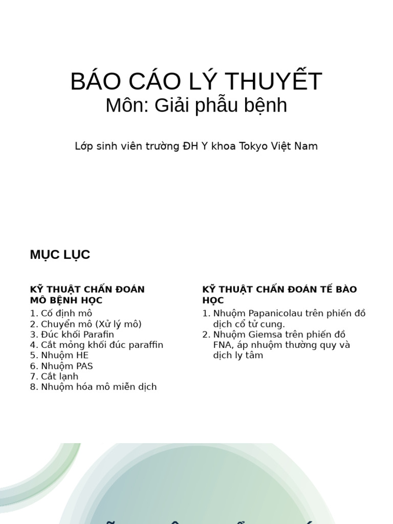 Báo Cáo Lý Thuyết Đã Học Khoa GPB - Lớp Y Tokyo | PDF