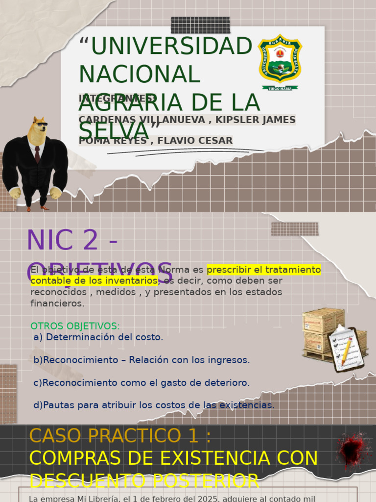Nic 2 - Caso Practico Nic 2 | PDF | Economias