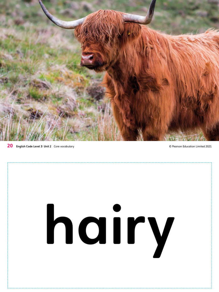 English Code AmE L3 Picture Cards Vocabulary U2 | PDF