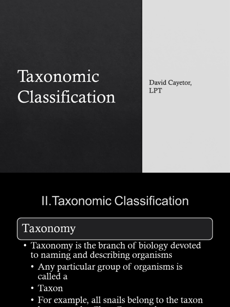 Taxonomic-Classification | PDF | Eukaryotes | Bacteria