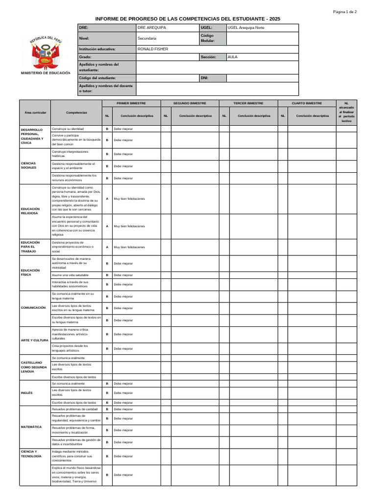 Formato de Informe de Progreso 2025 Secundaria | PDF | Aprendizaje