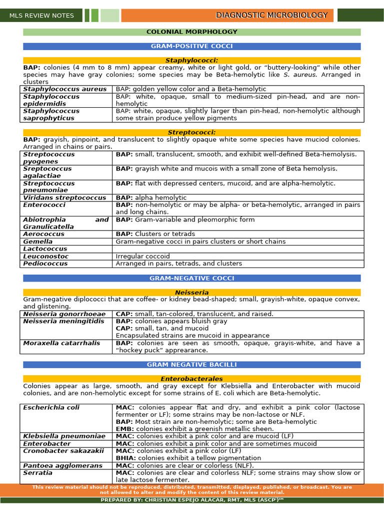 Colonial Morphology | PDF | Streptococcus | Mycobacterium