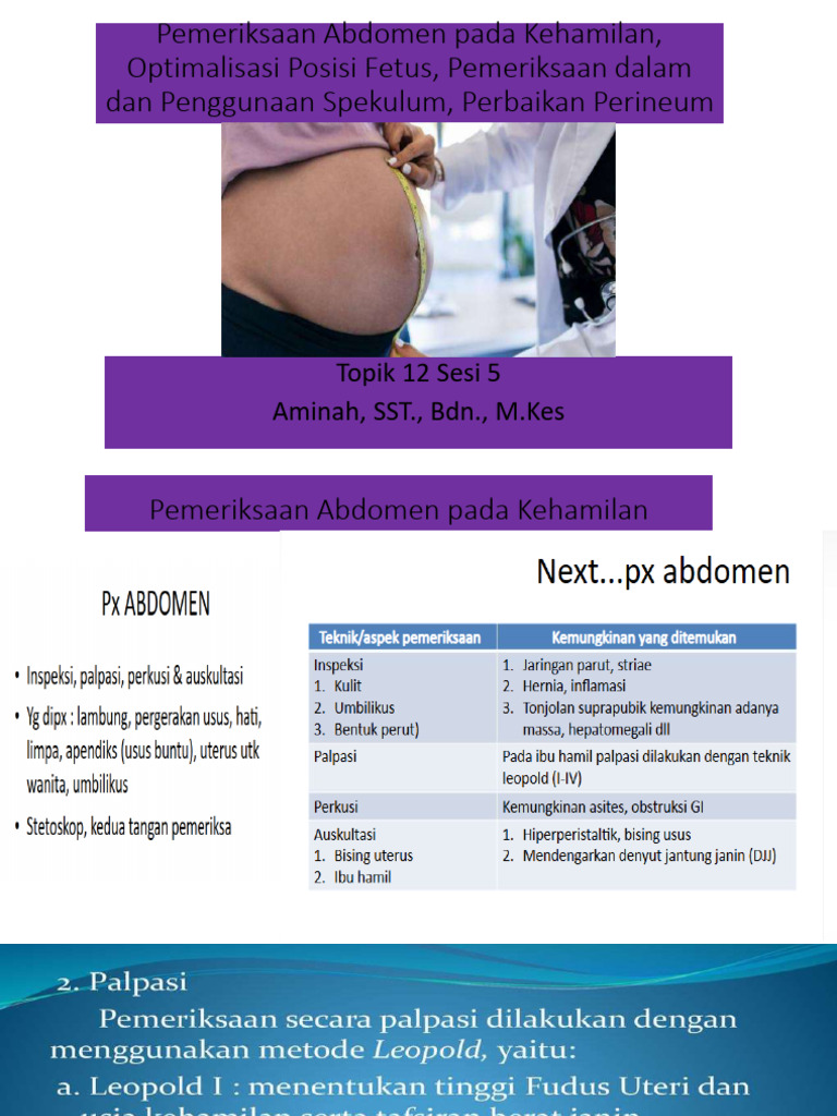Pemeriksaan Abdomen dan Fetus Kehamilan | PDF