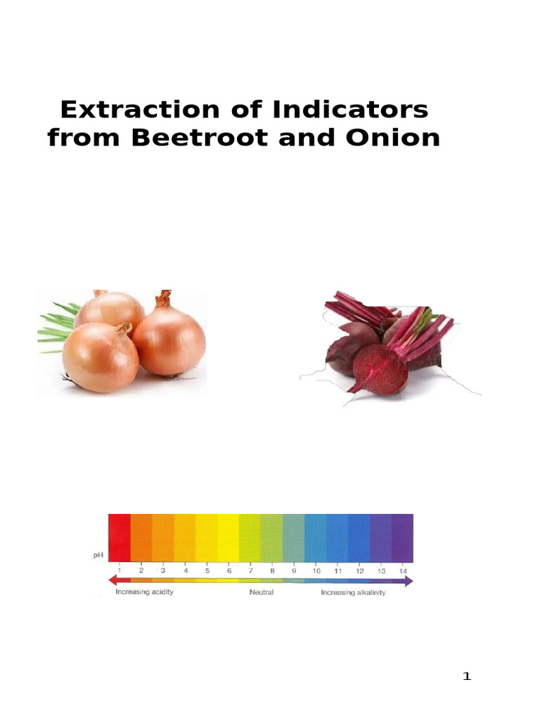 Preparing pH Indicators from Beetroot and Onion | PDF | Beetroot | Onion