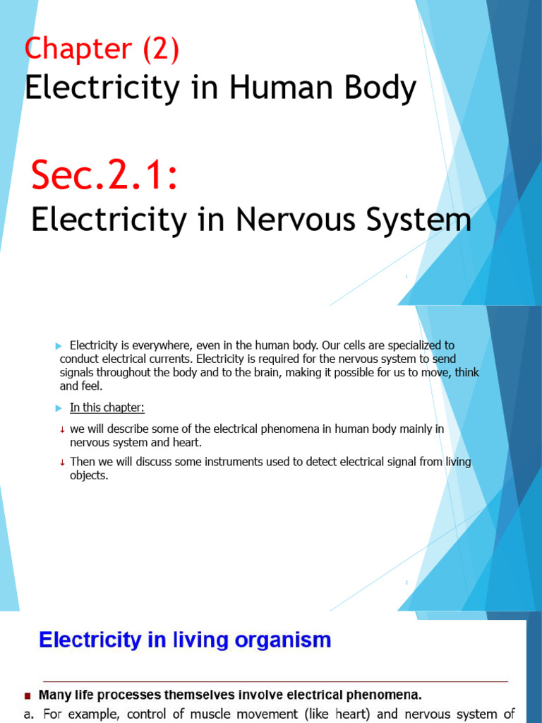 Chapter 2-Sec 2.1 Nervous System Electricity_ Heba | PDF | Magnetoencephalography ...